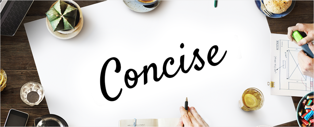 Conciseness Meaning